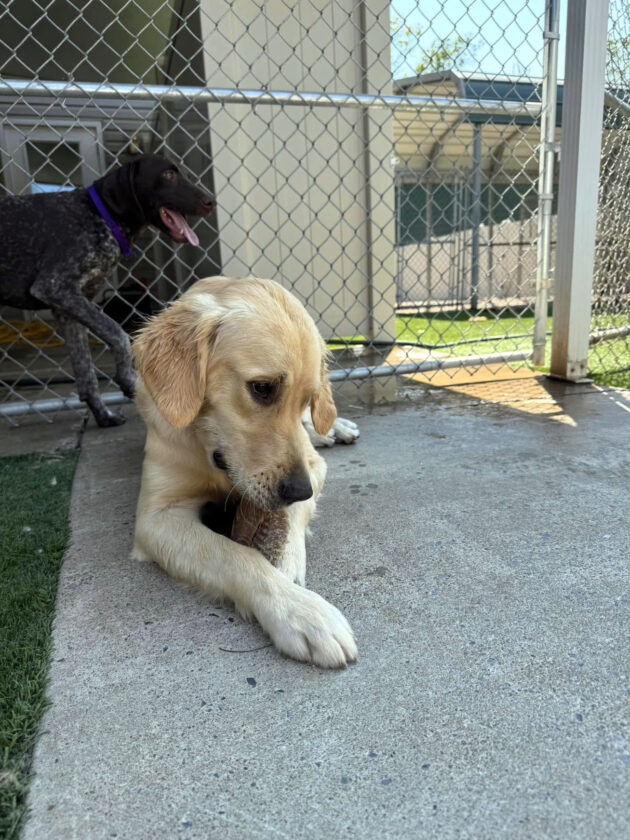Cindy’s Smiling Sammy Grooming and Boarding provides quality service ...